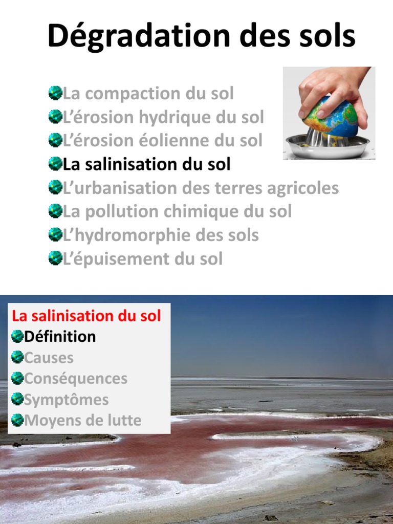 Salinisation des sols : un défi urgent pour l'agriculture et l'eau douce