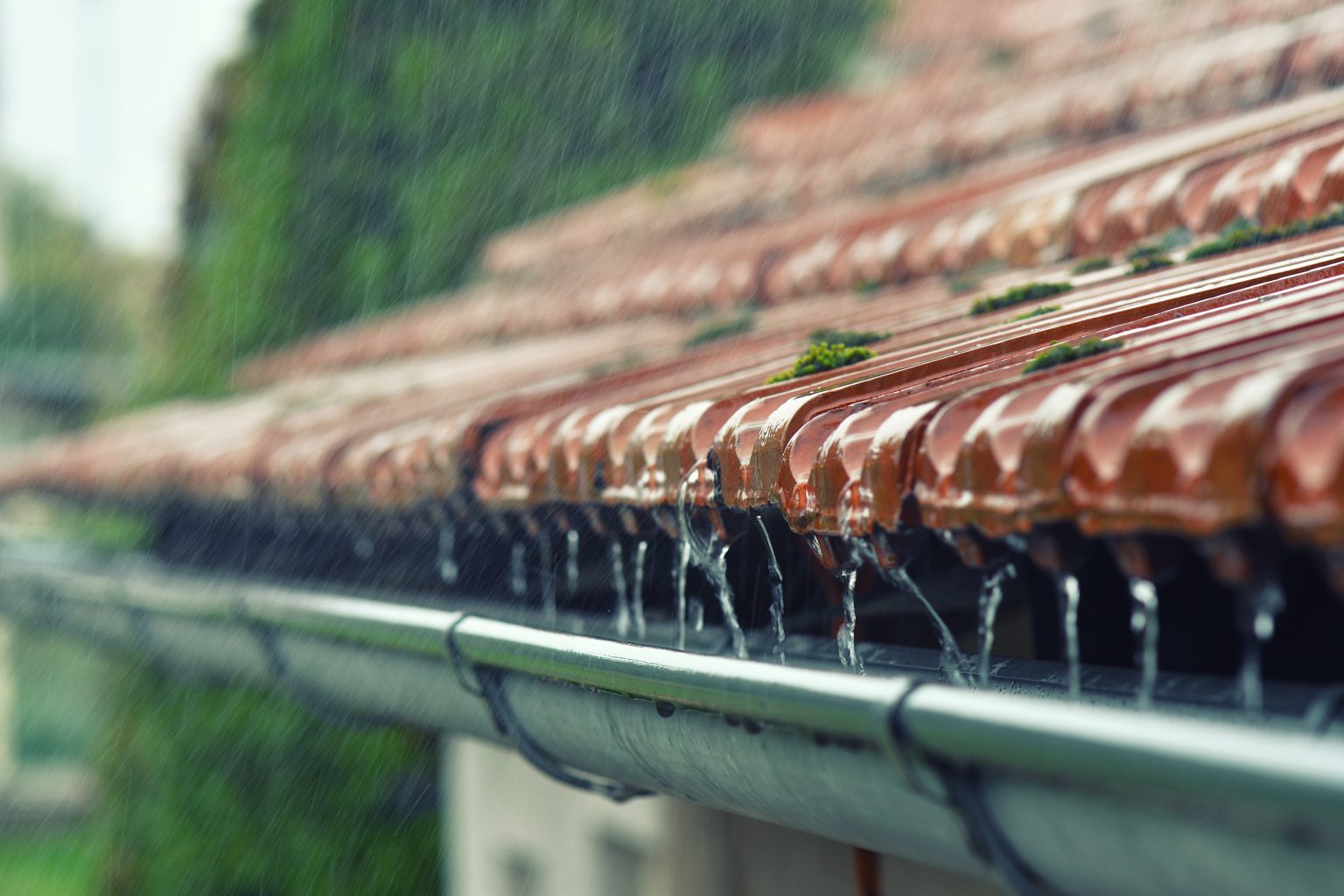 Eaux de Pluie : Guide Pratique pour une Réutilisation Écoresponsable en ...